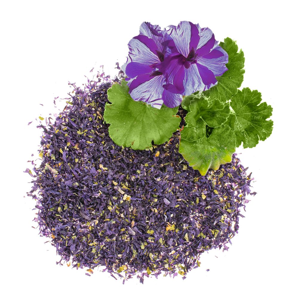 Fleurs, séchées | Loisirs créatifs VBS Hobby Service